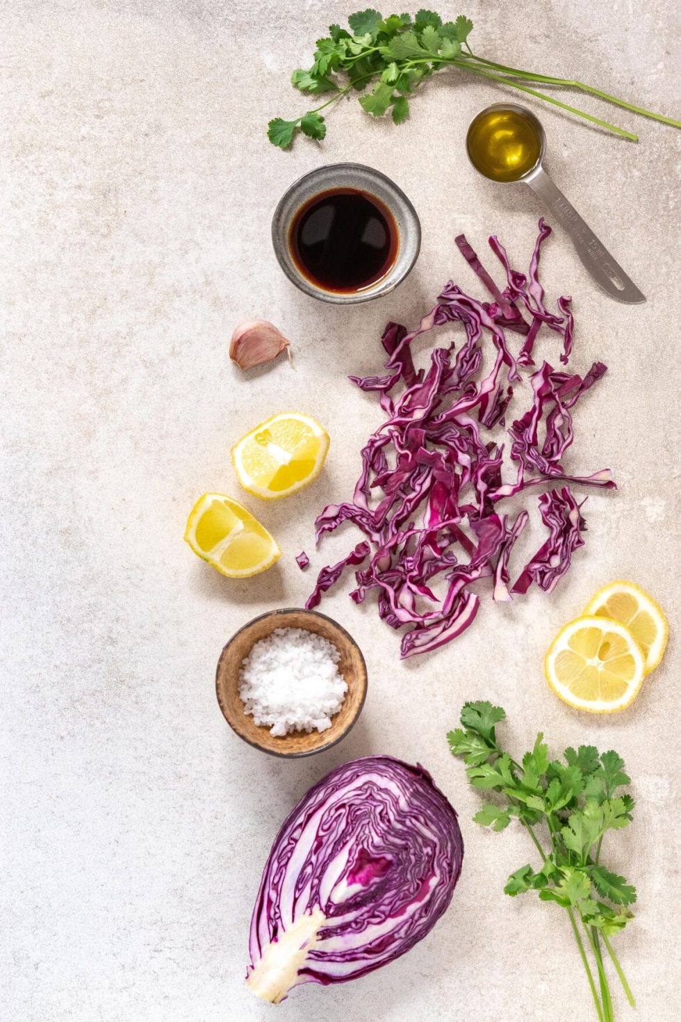 Salada de couve roxa marinada (fácil e deliciosa) - Made by Choices